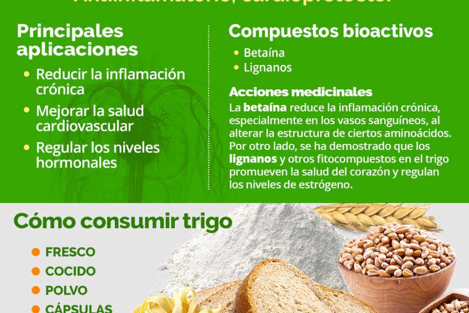 Comparativa entre la cebada y el trigo: usos, propiedades y beneficios ...