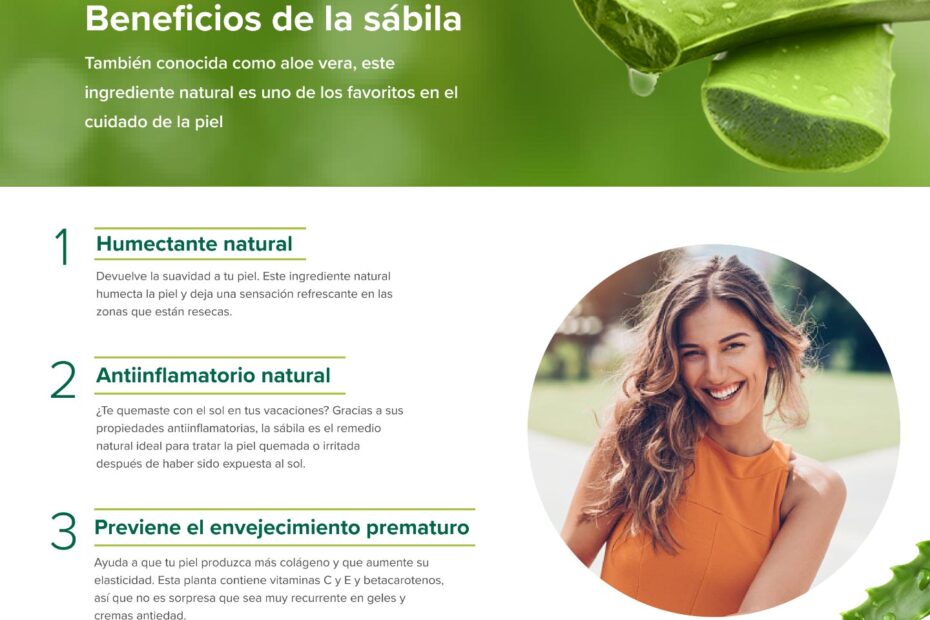 Los Beneficios del Cactus Aloe Vera: Propiedades, Cuidados y Usos ...